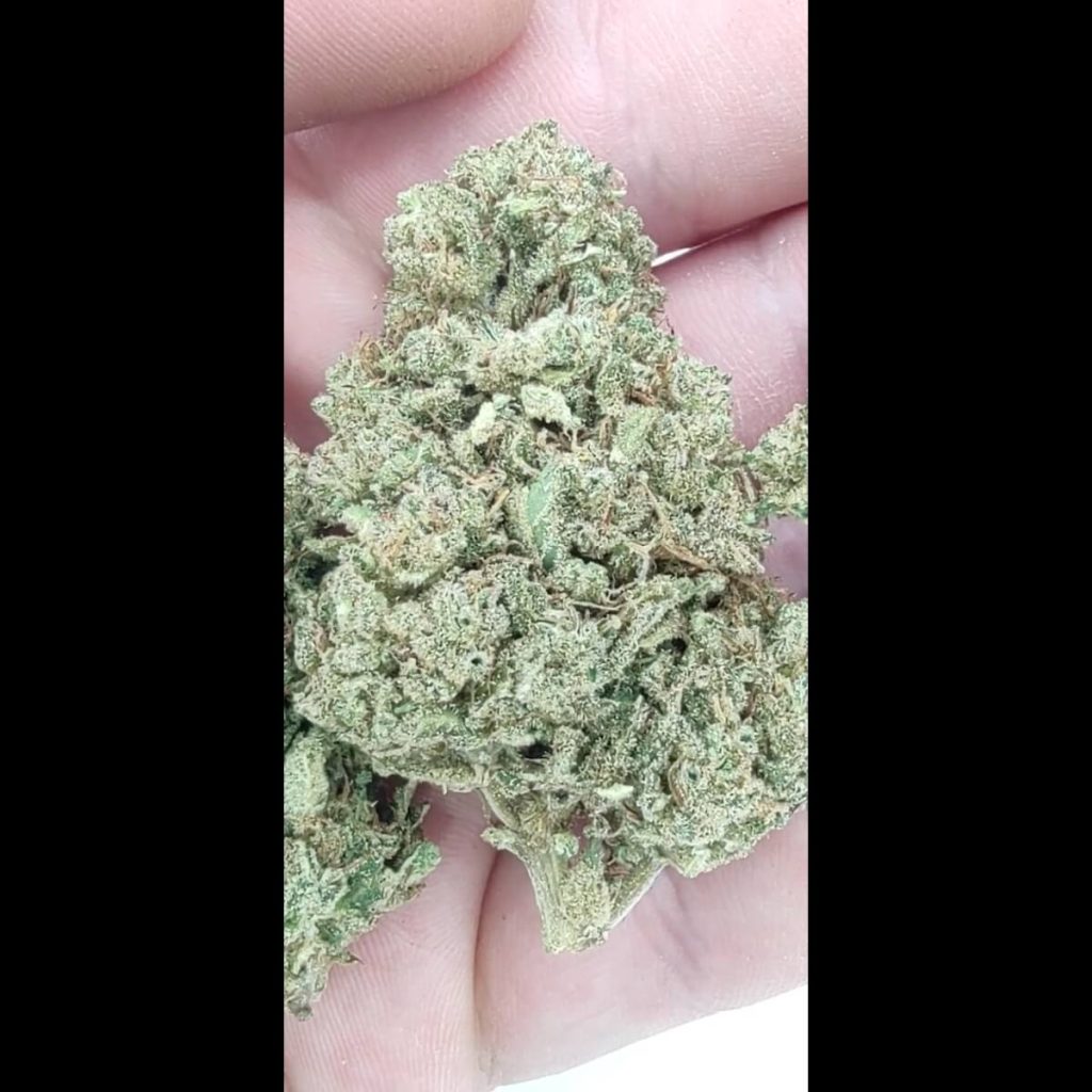 CBD Flower | Best Hemp Buds by Green Unicorn Farms