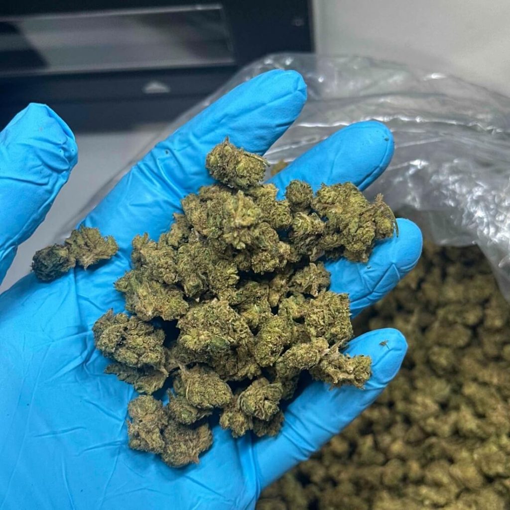 Ounce Deal Bags THCa | Budget Zips | Type-1 Flower Deals